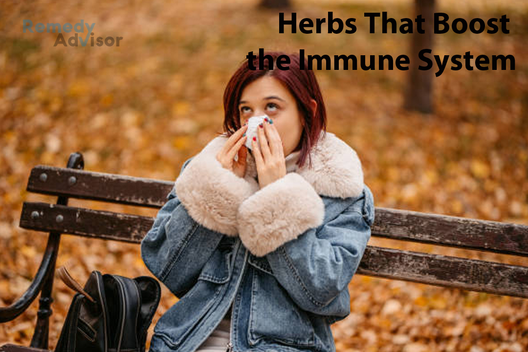 Herbs that boost the Immune System – Remedy Advisor